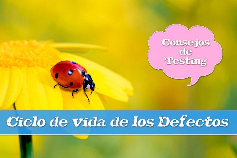 ¿Cuál es el ciclo de vida de los defectos? - El mínimo viable